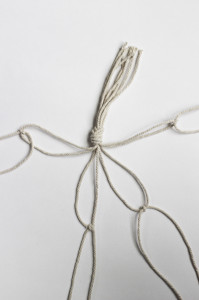 DIY Hanging Cactus Plant with Ropes | Housetodecor.com