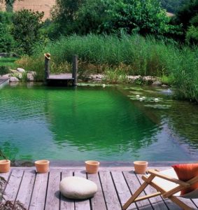 30 Natural Pond And Swimming Pool Designs For Relaxing | Housetodecor.com