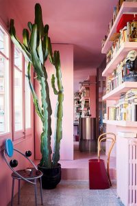 25 Unique Room Ideas With Artificial Cactus
