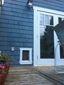27 Trendy Dog Door Ideas That Your Pet Happy | Housetodecor.com