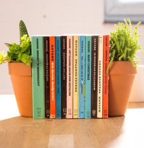 20 Trendy Planter Bookends To Bring Style At Home | Housetodecor.com