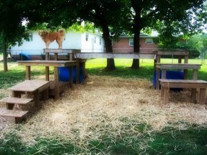 25 Small Dog Playground Ideas That Safe In Backyard | Housetodecor.com