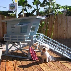 35 Awesome Dog House Decorations That Will Be Loved | Housetodecor.com