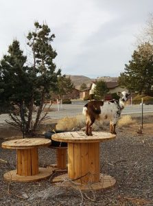 How To Make Awesome Goat House And Playground | Housetodecor.com
