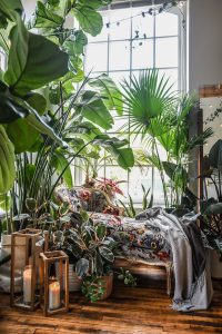 30 Inspiring Jaw Dropping Jungle Interiors | Housetodecor.com
