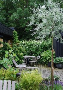 22 Perfect Urban Jungle Ideas For Your Patios | Housetodecor.com