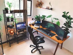 25 Cool Gaming Desk Setup With Indoor Plants | Housetodecor.com