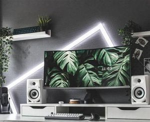 25 Cool Gaming Desk Setup With Indoor Plants | Housetodecor.com