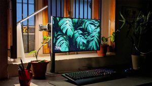 25 Cool Gaming Desk Setup With Indoor Plants | Housetodecor.com