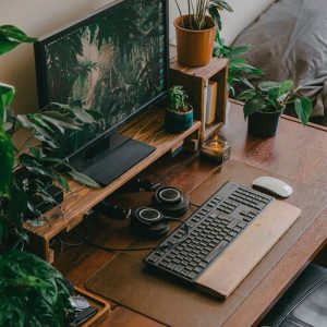 25 Cool Gaming Desk Setup With Indoor Plants | Housetodecor.com