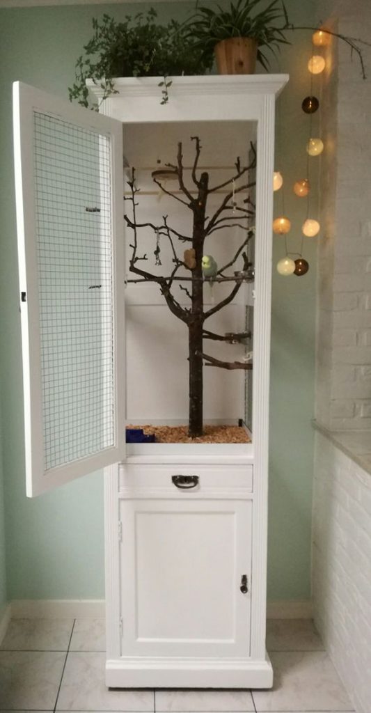 20 Most Inspiring Bird Cages To Beautify Your Room | Housetodecor.com