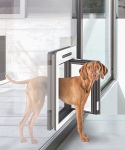 20+ Trendy Dog Door Ideas That Make Your Pet Happy | Housetodecor.com