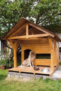 20 Creative DIY Dog Playhouse Ideas For Outdoors | Housetodecor.com