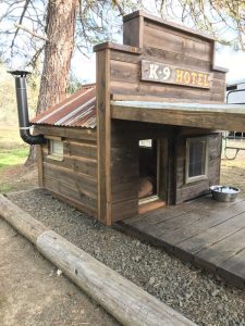 20 Creative DIY Dog Playhouse Ideas For Outdoors | Housetodecor.com