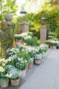 21 Most Beautiful Spring Container Garden Ideas | Housetodecor.com