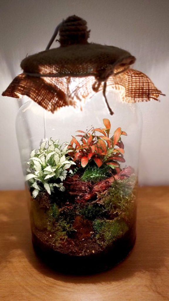 20 Easy And Creative DIY Terrarium Lamp Ideas | Housetodecor.com